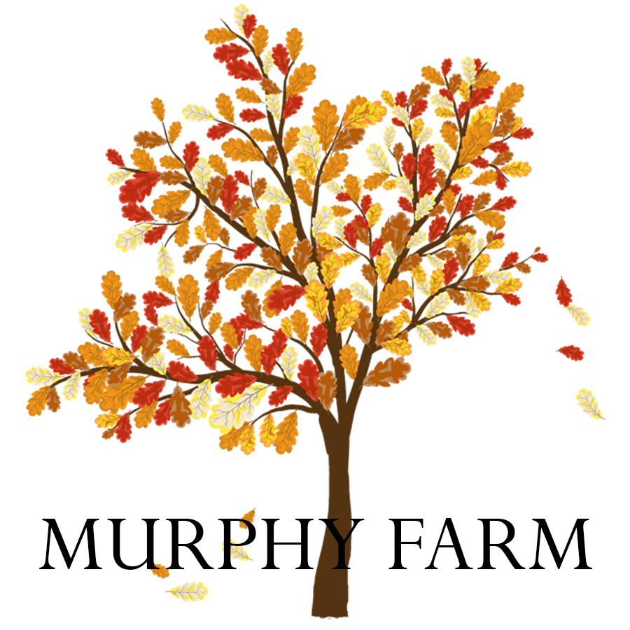 Murphy Farm Home Community | Harpe Development Burlington, WI